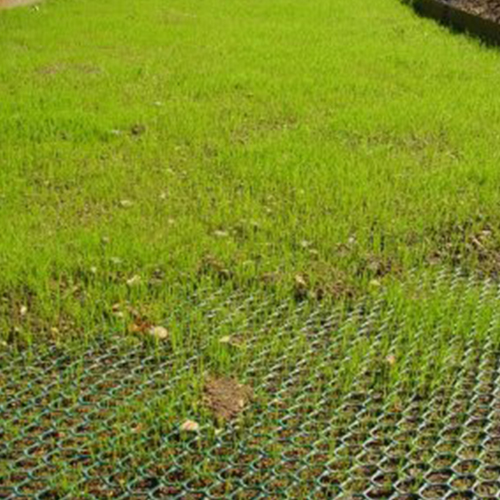 TurfProtecta Turf Reinforcement Mesh - Typar - CADdetails