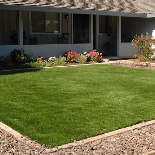 Olive Lush Landscape Turf - Heavenly Greens - CADdetails