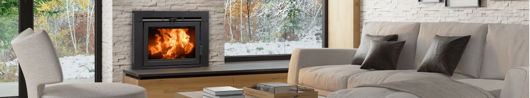 Astra 38 Duo TD - Supreme Fireplaces - CADdetails