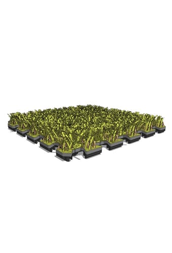 Free Revit BIM Models | Roof Drains | Master Format