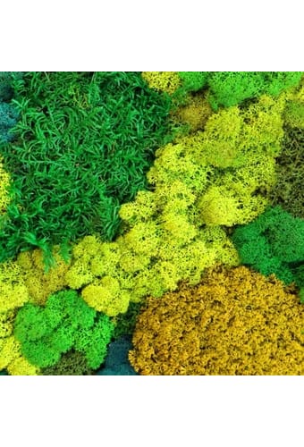 Find thousands of Quality Architectural Products | CADdetails