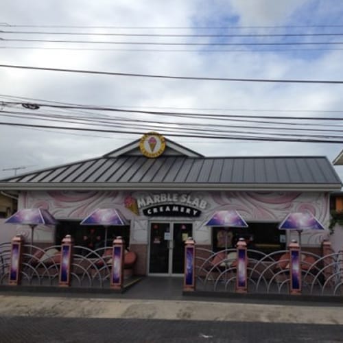 Standing Seam - SurfaceMax - CADdetails