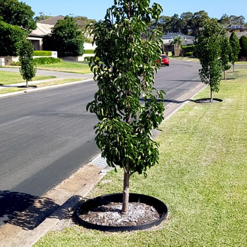 Root Director ™ Tree Planter - Citygreen - CADdetails